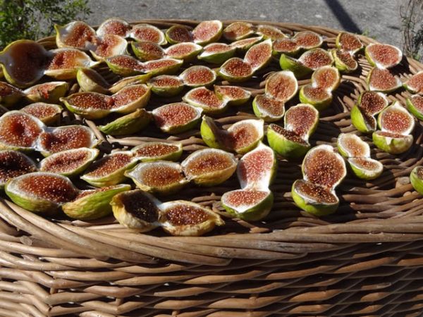 Troppo Figo! Che Figata! Italian Idioms to Say Something Is 'Cool'