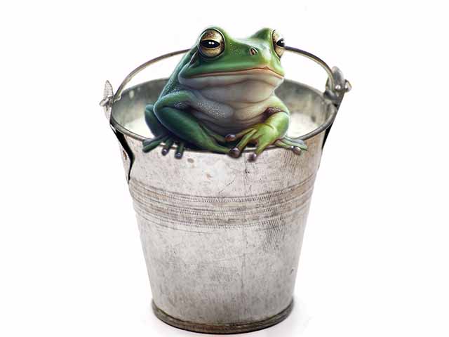 Italian idiomatic expressions involving frogs and toads — rospo, rana ...